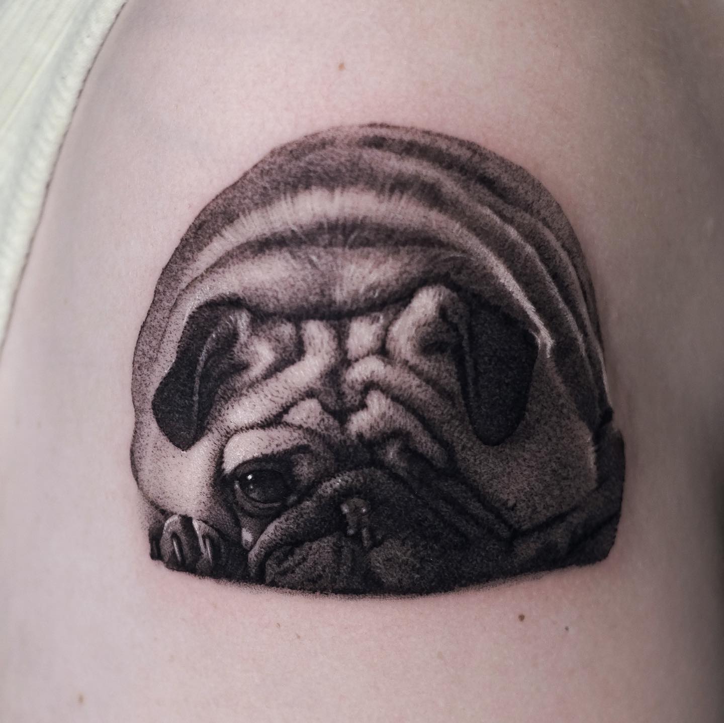 The Best micro realism in Texas, the art of Jose Contreras